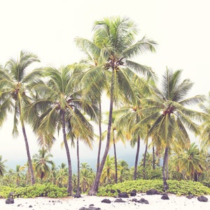 Beach Wall Art, Beach Prints, Palm Tree Wall Art, Tropical Decor ...