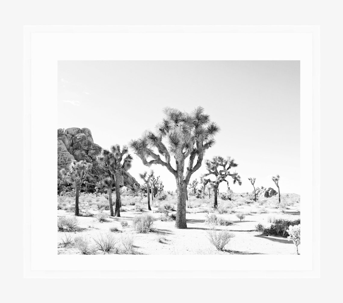 Large Desert Art Print Modern Desert Print Modern Southwest | Etsy