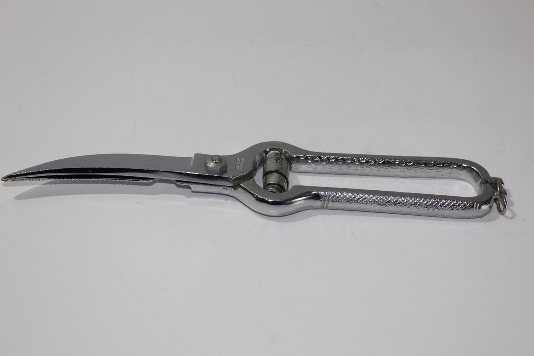 Vintage Hot Drop Forged Steel Poultry Scissors Shears Made in Italy - Etsy
