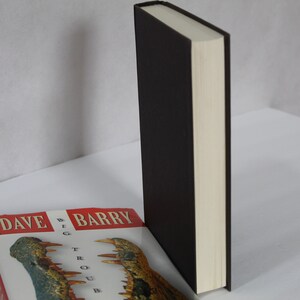 1999 Dave Barry Big Trouble Hard Cover Book With Dust Jacket - Etsy
