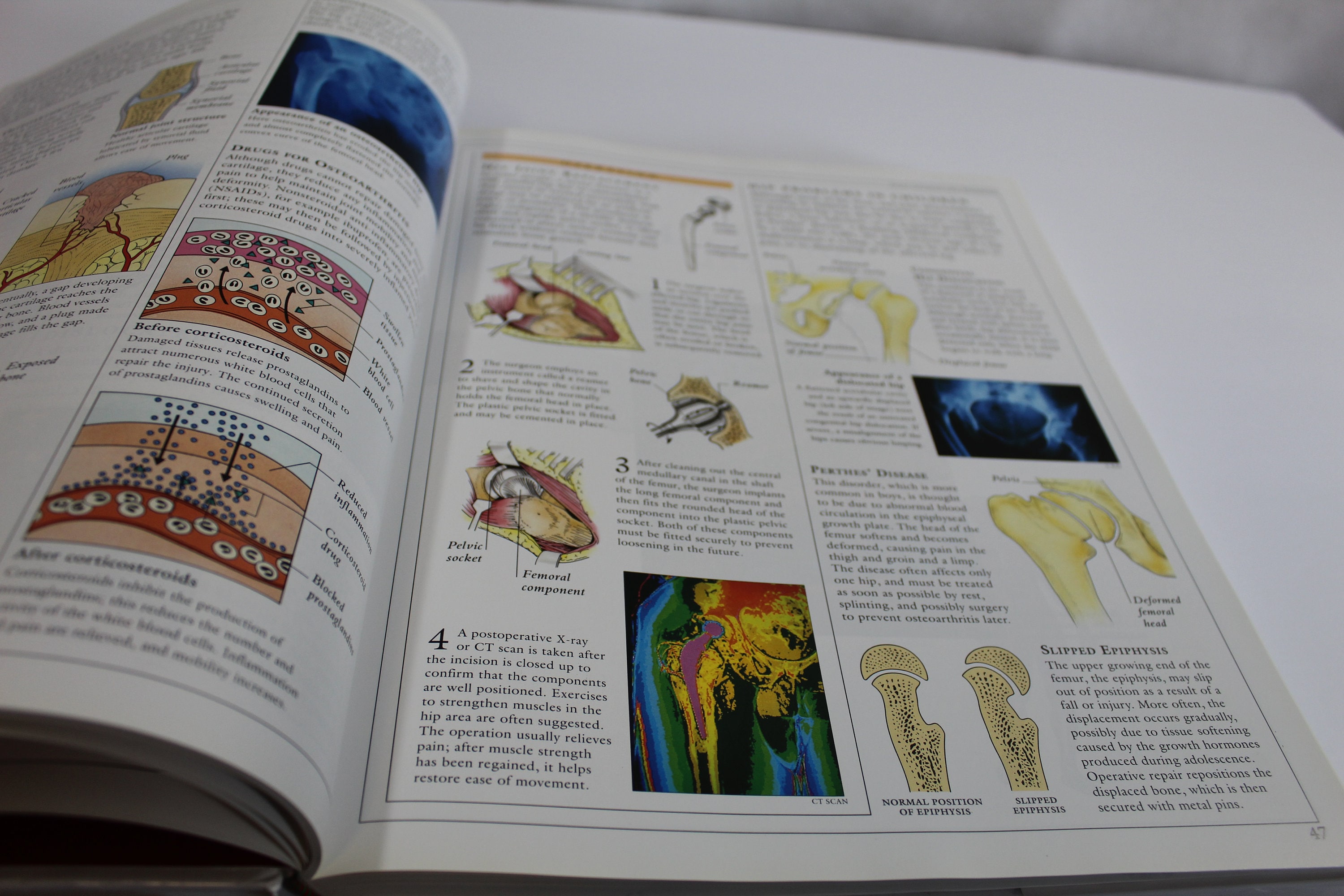 1995 the Human Body A Dorling Kindersley Book Oversized - Etsy