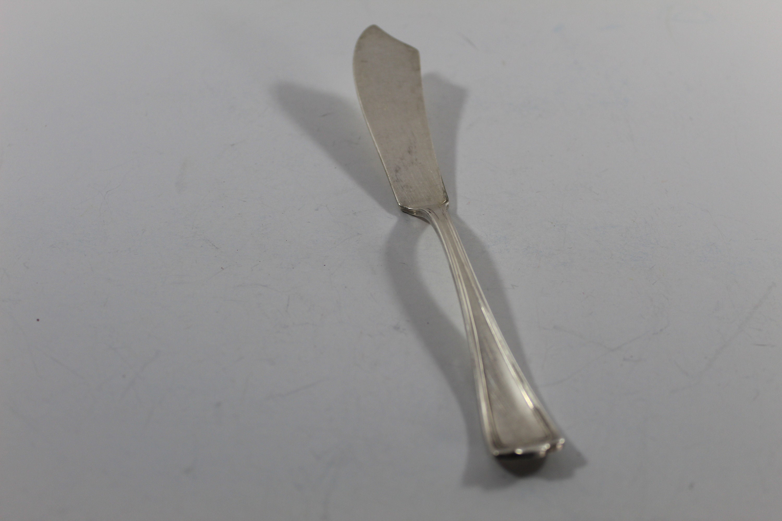 Vintage 1847 Rogers XS Triple Silverplate Flat Handle Master Butter ...