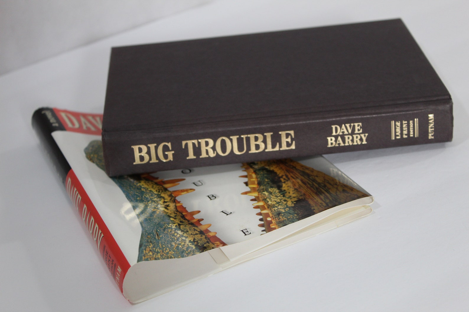 1999 Dave Barry Big Trouble Hard Cover Book With Dust Jacket - Etsy