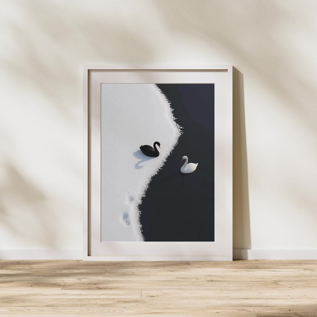 Swan Yin Yang Print, Minimalist Nature Art (digital or Physical) - Etsy