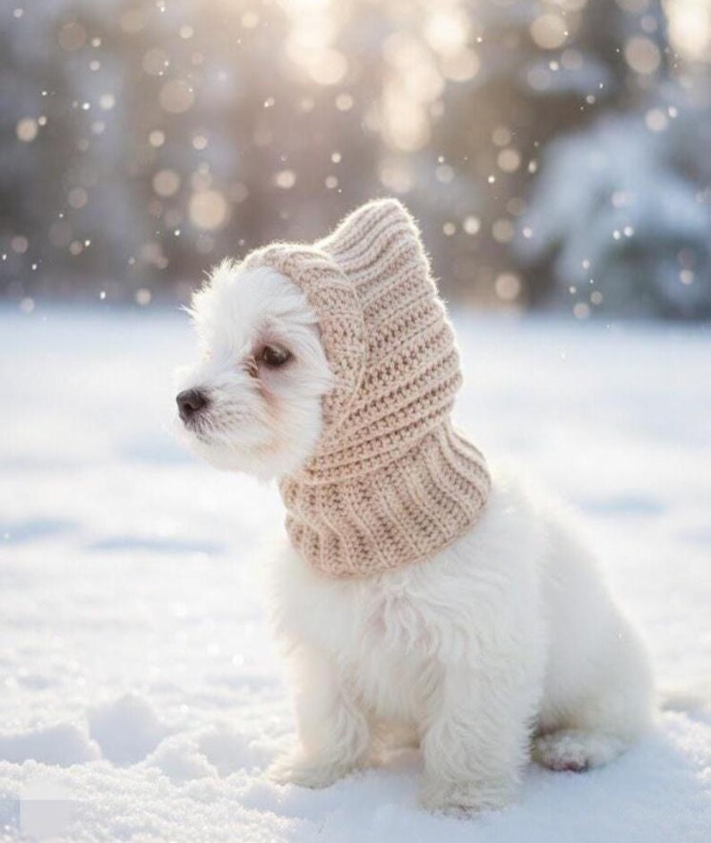 Crochet Pet Balaclava Pattern – Pet Hat With Neck Warmer for Dogs and ...
