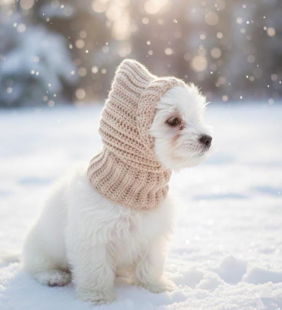 Schema Cappuccio Con Scaldacollo per Cani E Gatti – Pet Balaclava ...