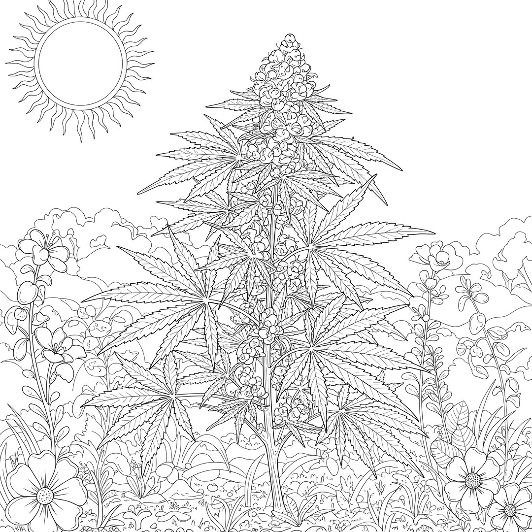 Cannabis Garden Coloring Page | Digital Weed Art Printable | Adult 420 ...