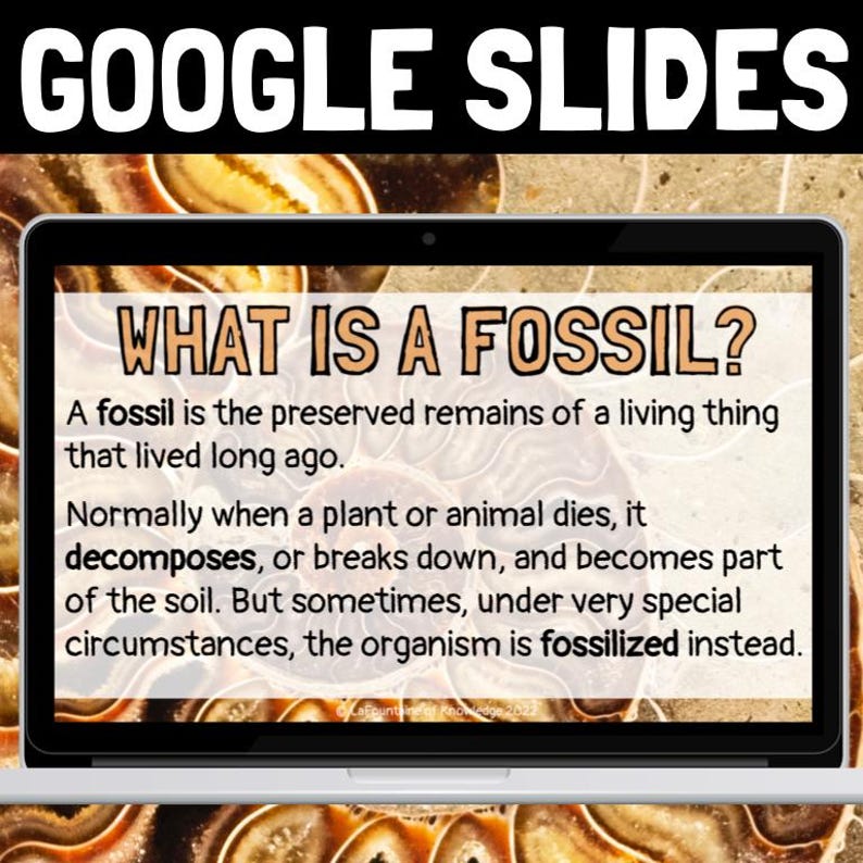 Types of Fossils Lesson With Google Slides, Notes, Worksheet, and ...