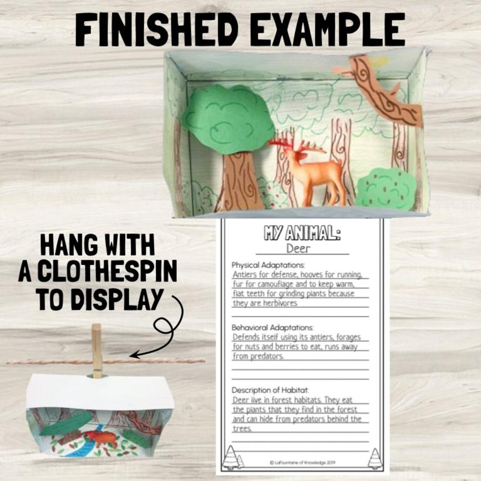 Animal Habitat Box Science Biomes Adaptations Project Based Learning ...