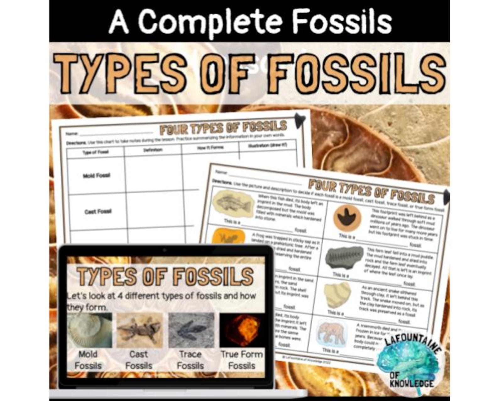 Types of Fossils Lesson With Google Slides, Notes, Worksheet, and ...