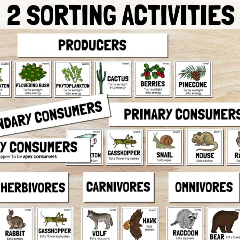 Food Chains and Food Webs Matching Card Game and Sorting Activities - Etsy