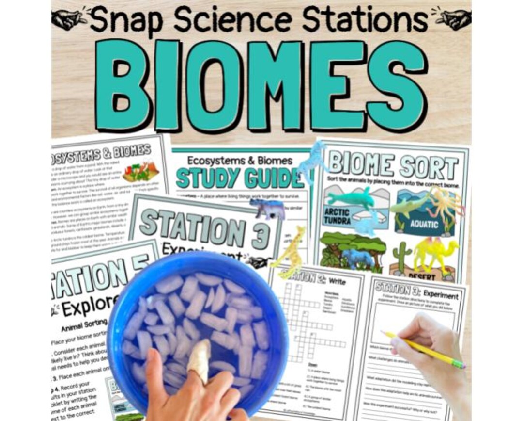 Ecosystems and Major World Biomes Science Stations Experiment and ...