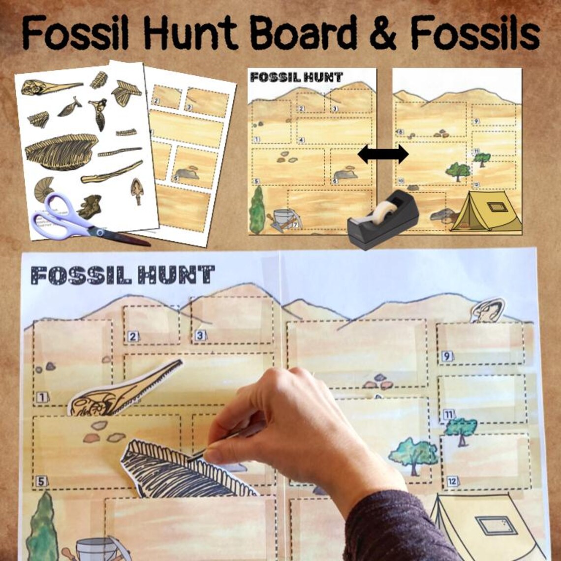 Fossil Hunt Paleontology Simulation Activity and Science Lesson - Etsy