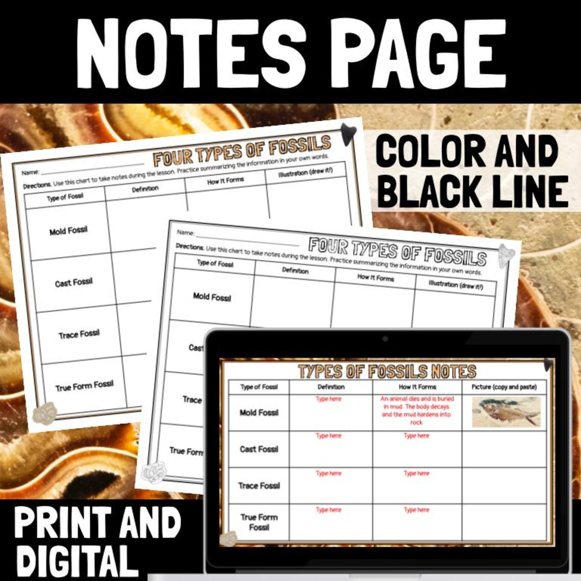 Types of Fossils Lesson With Google Slides, Notes, Worksheet, and ...