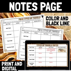 Types of Fossils Lesson With Google Slides, Notes, Worksheet, and ...