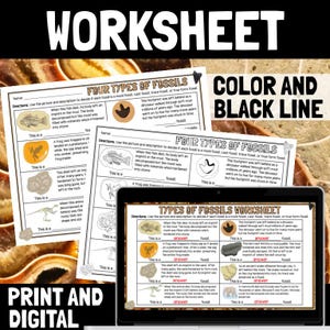 Types of Fossils Lesson With Google Slides, Notes, Worksheet, and ...