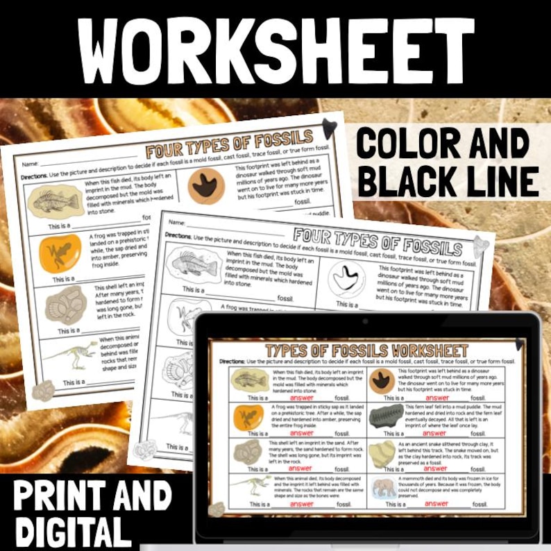 Types of Fossils Lesson With Google Slides, Notes, Worksheet, and ...