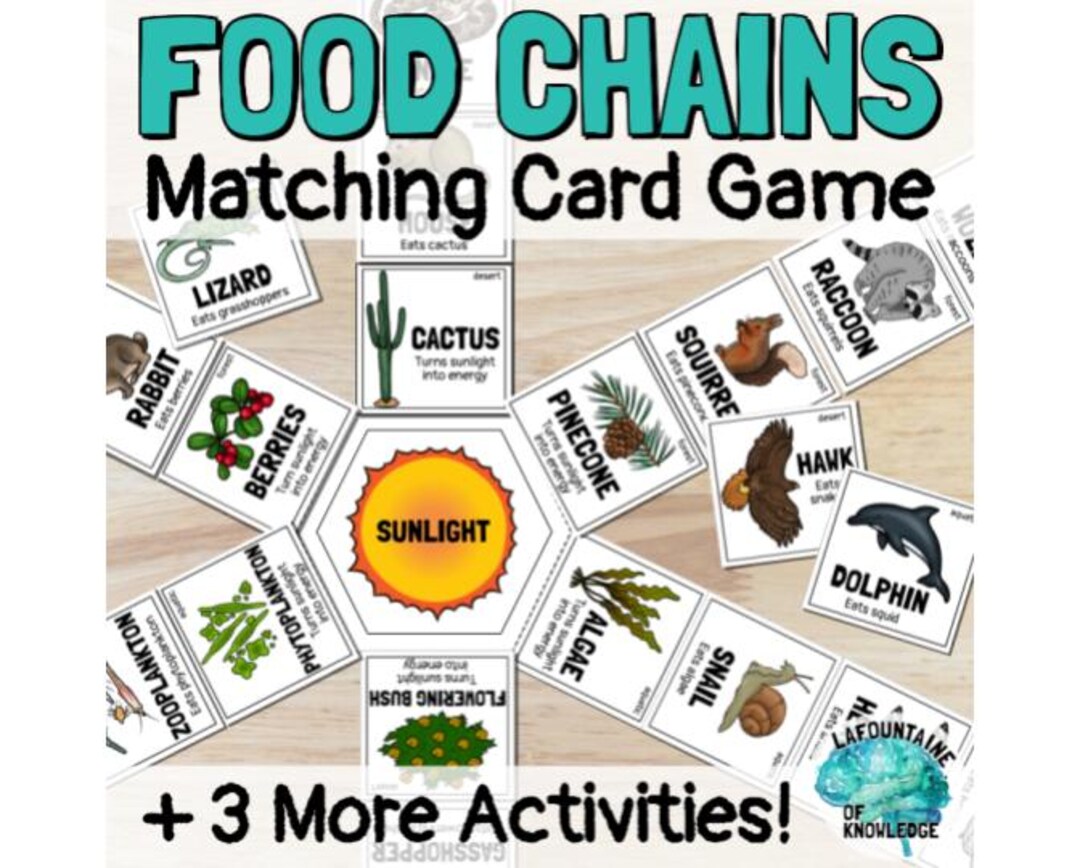 Food Chains and Food Webs Matching Card Game and Sorting Activities - Etsy