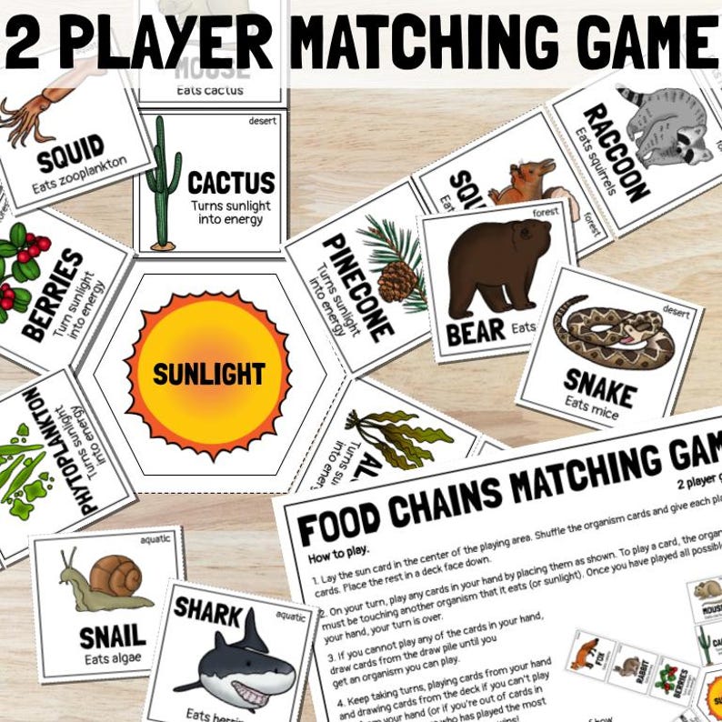 Food Chains and Food Webs Matching Card Game and Sorting Activities - Etsy