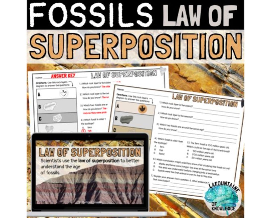 Fossils Law of Superposition Relative Dating Google Slides Lesson and ...
