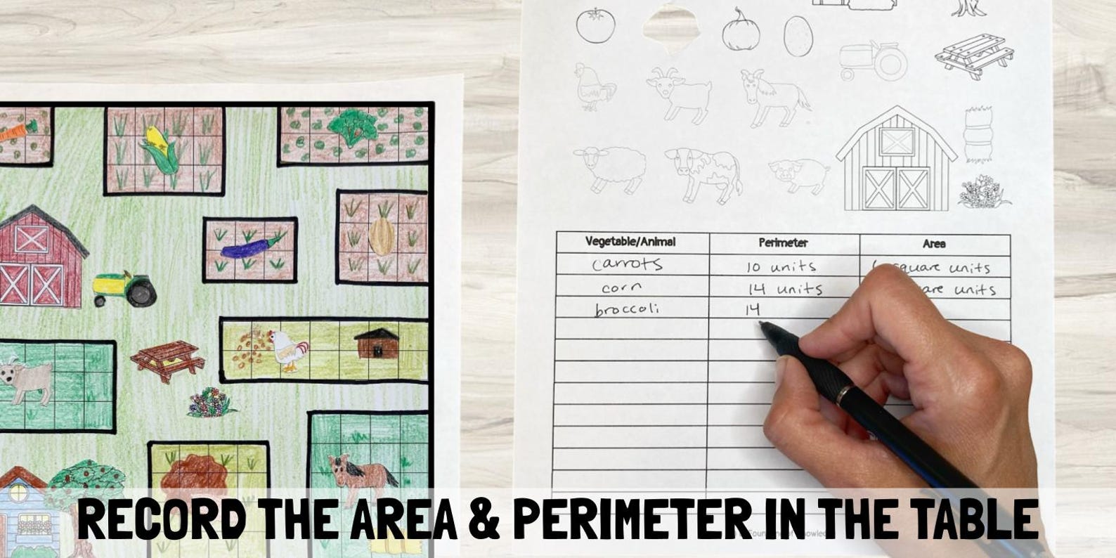 Area and Perimeter Design a Farm Challenge Math Project Based Learning ...