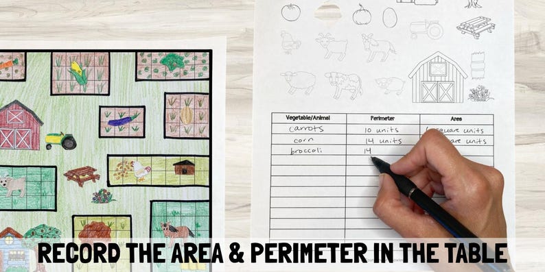 Area and Perimeter Design a Farm Challenge Math Project Based Learning ...