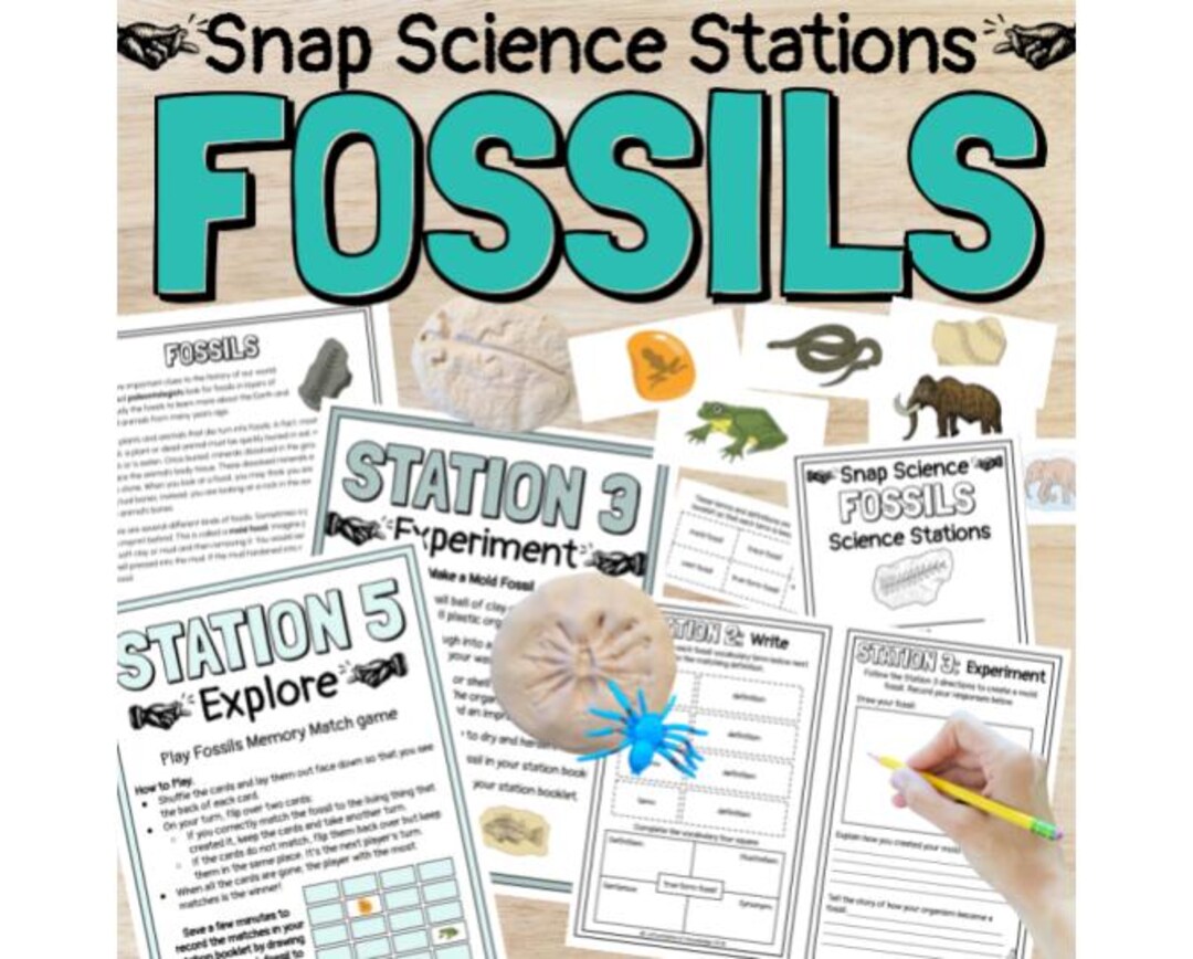 Fossils Science Stations Exploring Types of Fossils Centers and ...