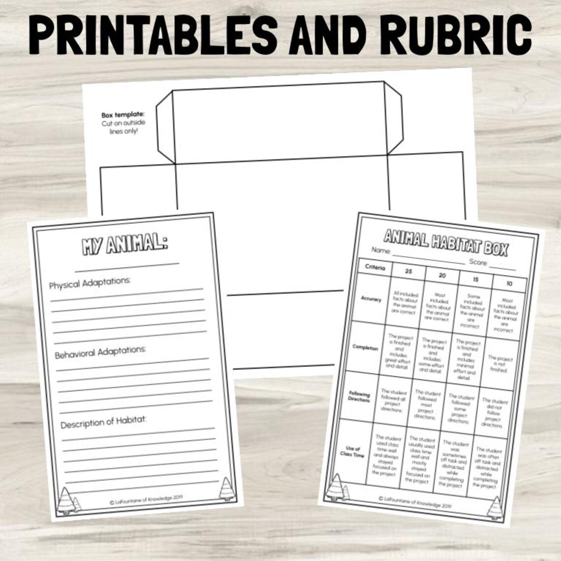 Animal Habitat Box Science Biomes Adaptations Project Based Learning ...