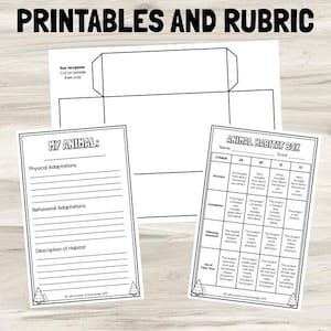 Animal Habitat Box Science Biomes Adaptations Project Based Learning ...