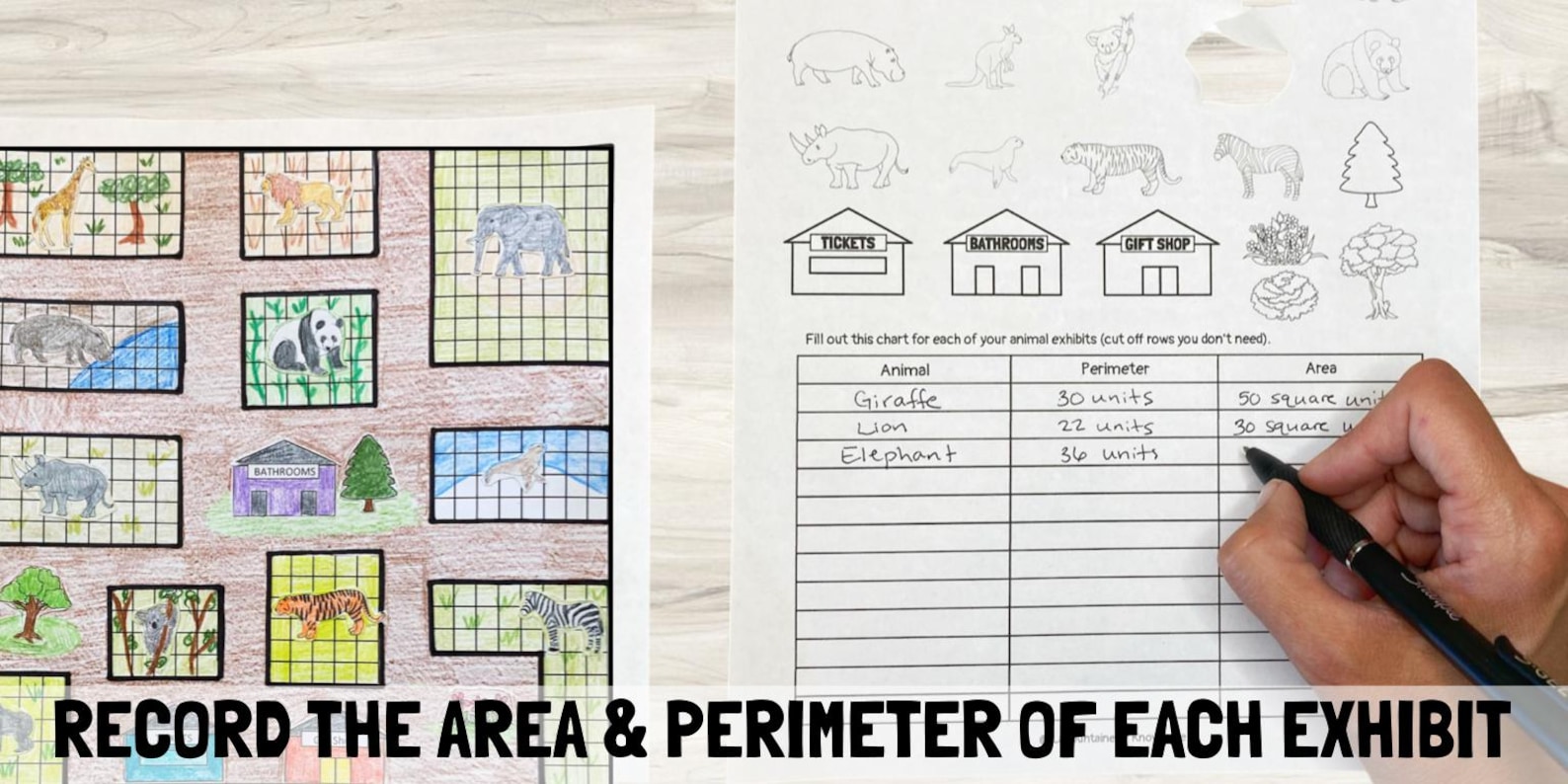Area and Perimeter Design a Zoo Challenge Math Project Based Learning ...