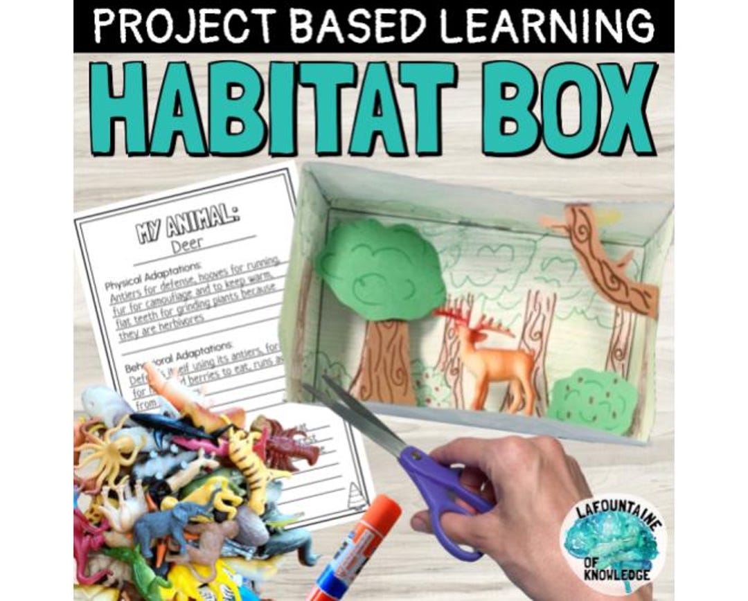 Animal Habitat Box Science Biomes Adaptations Project Based Learning ...