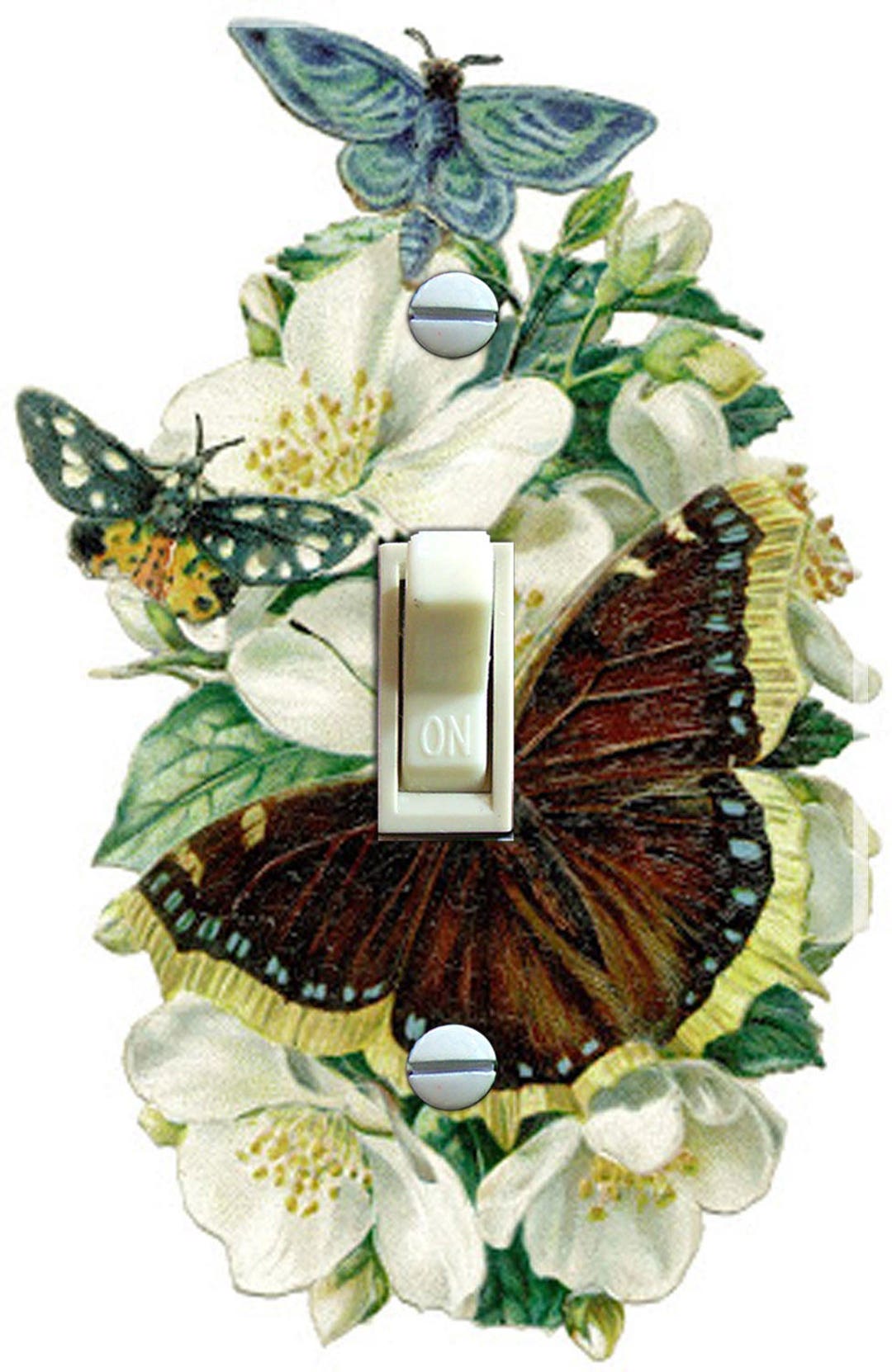 Vintage Butterfly & Dogwood Illustration, Switch Plate Cover, Wall ...