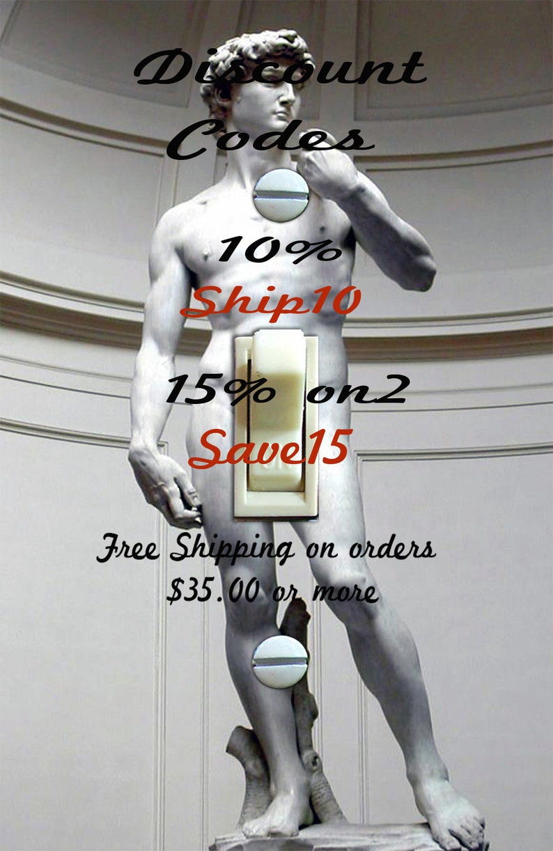 Michelangelo's DAVID, Switch Plate Cover, Wall Plate, Single, Double ...