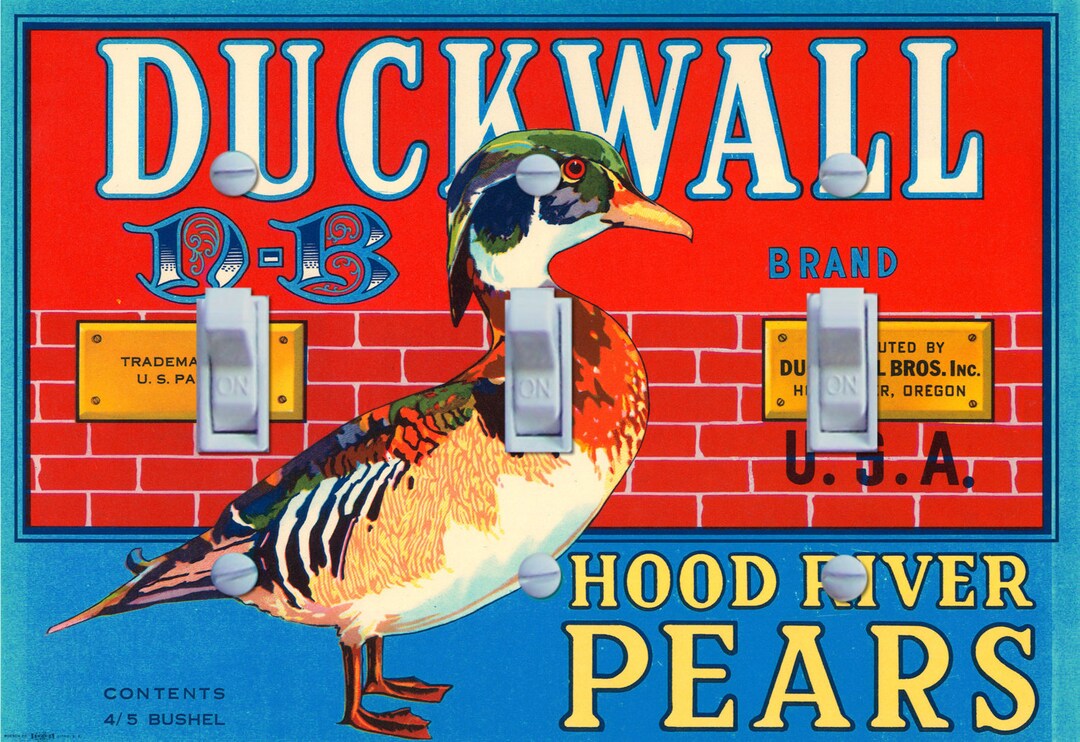 DUCKWALL Etiqueta de caja vintage, cubierta de placa de interruptor de ...