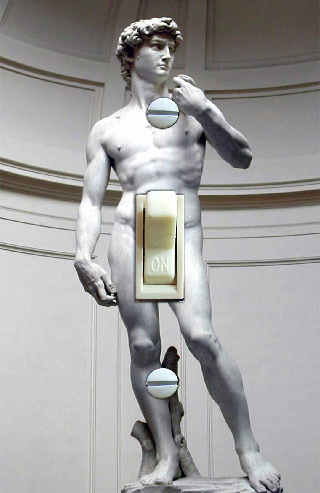 Michelangelo's DAVID, Switch Plate Cover, Wall Plate, Single, Double ...