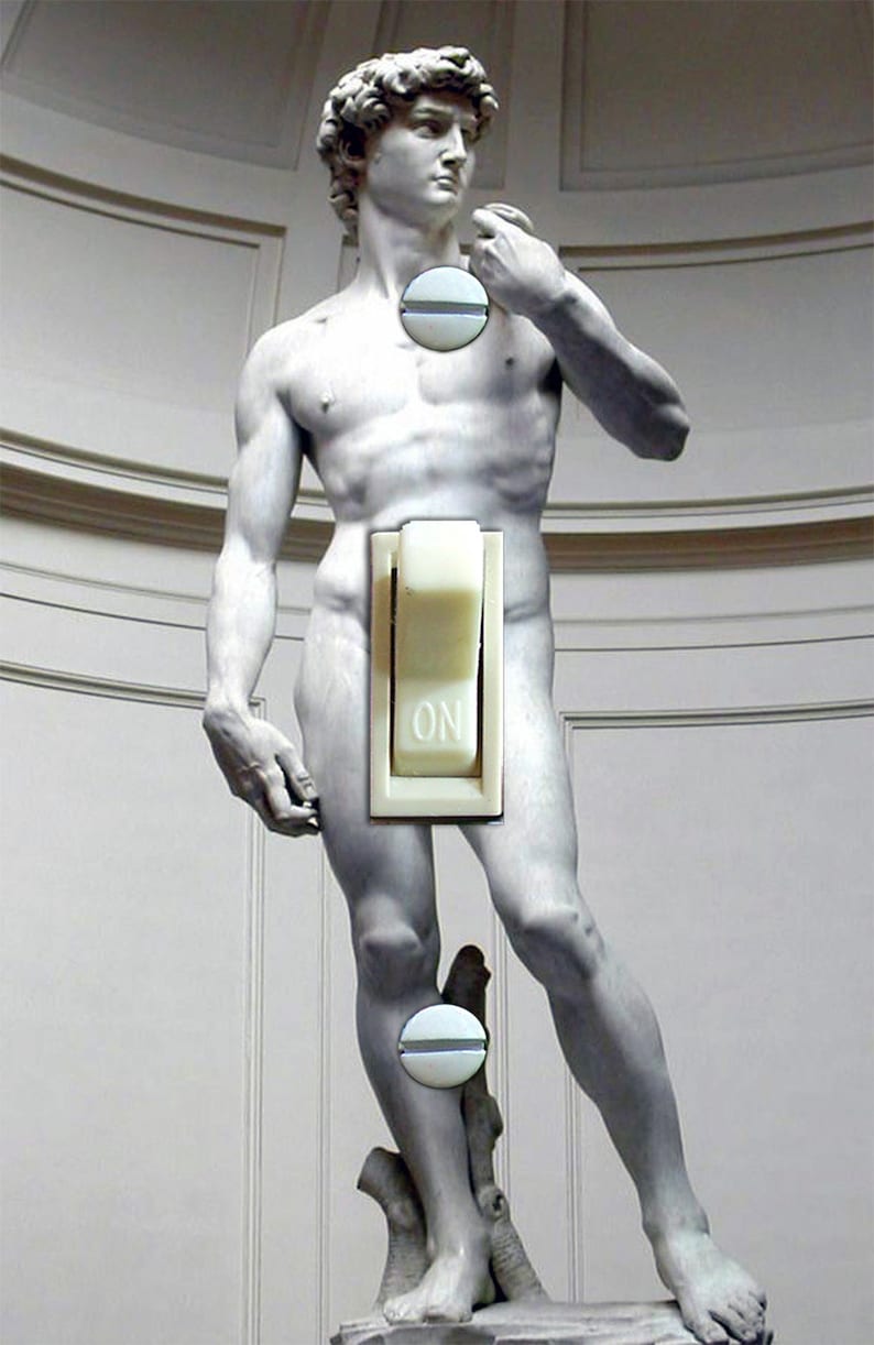Michelangelo's DAVID, Switch Plate Cover, Wall Plate, Single, Double ...