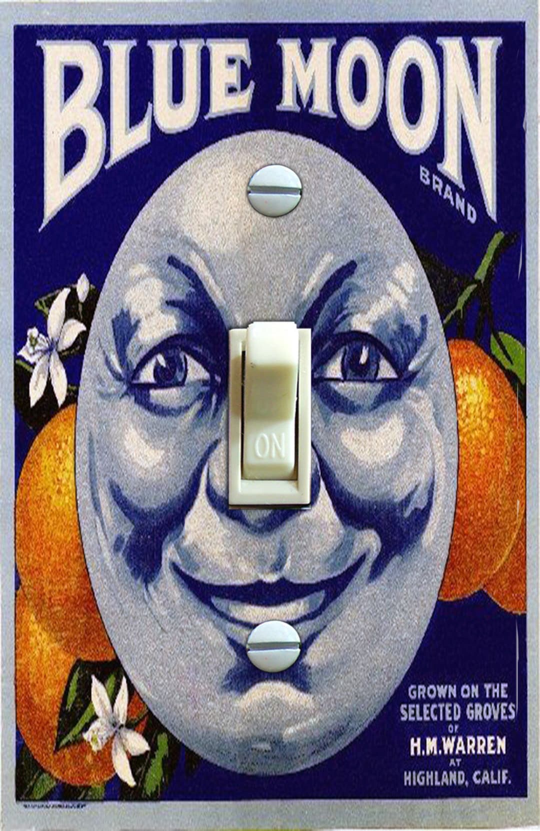 Blue Moon Brand Vintage Crate Label, Switch Plate Cover, Light Switch ...
