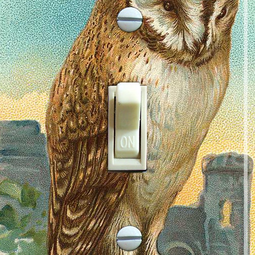 OWL Vintage Illustration Switch Plate Cover Wall Plate | Etsy