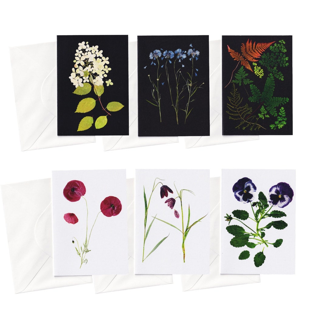 Pressed Flower Card Collection - 6 Pack - Etsy