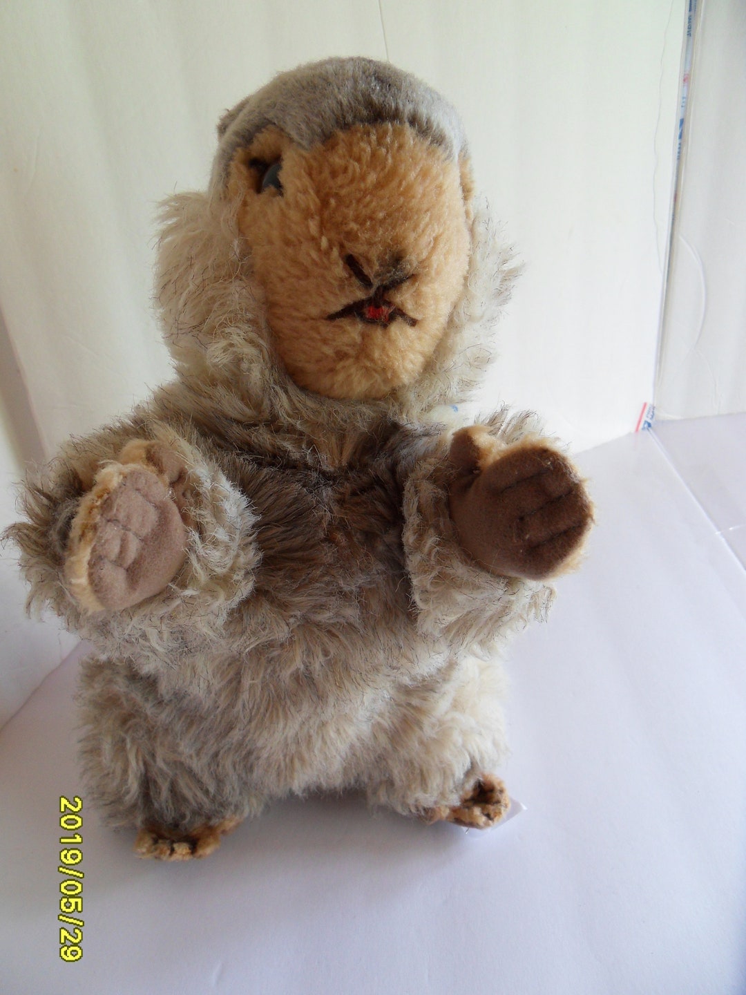 Steiff Groundhog Marmot Woodchuck Large Button Flag Made in Germany ...
