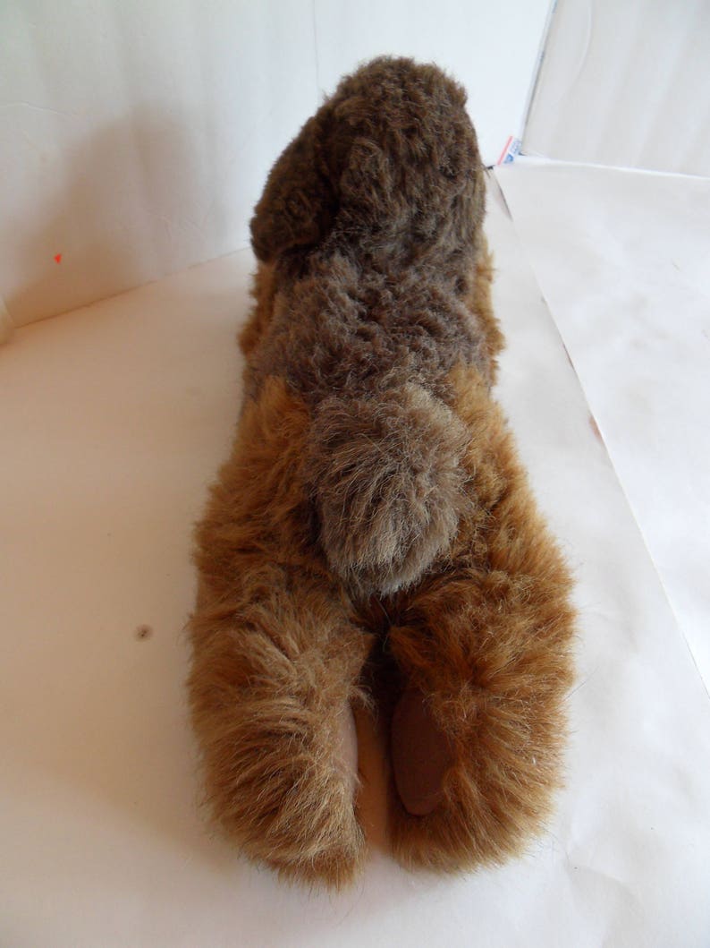 Steiff Dog Dachsund Button Flag Made in Germany 2275 - Etsy