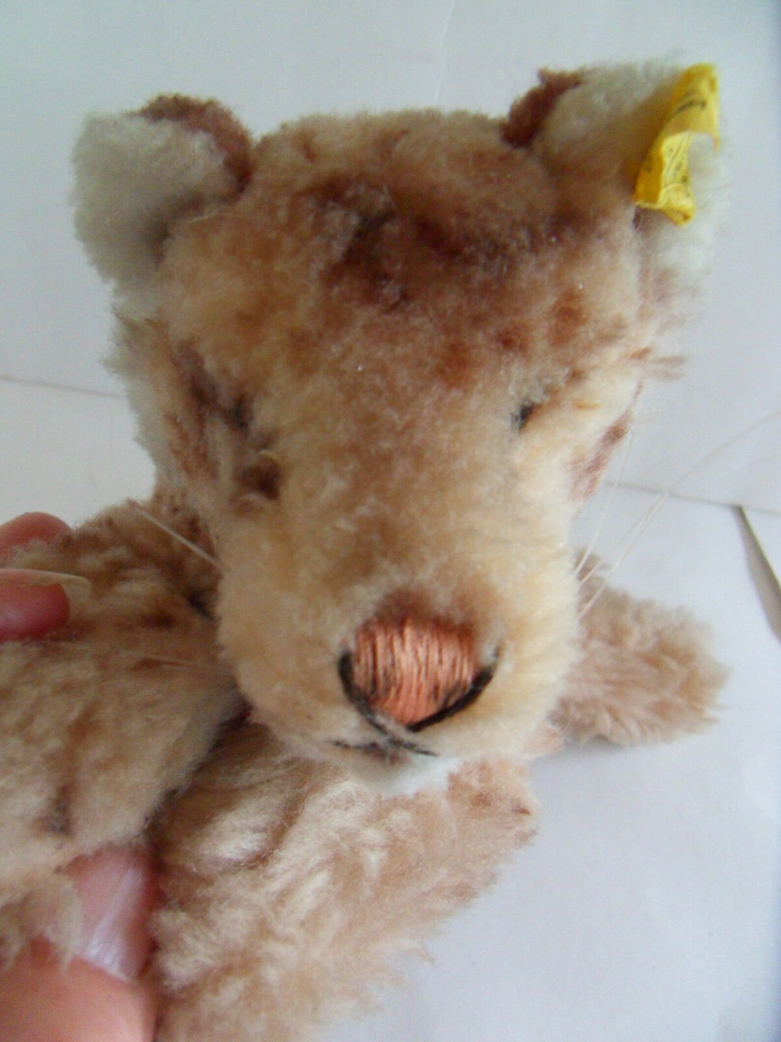 Steiff Lion Baby Button/flag Stuffed Animal 2229 - Etsy