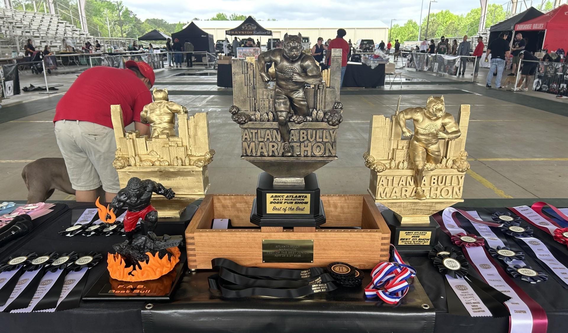 Show Quality Stacking Box for Dogs - Etsy