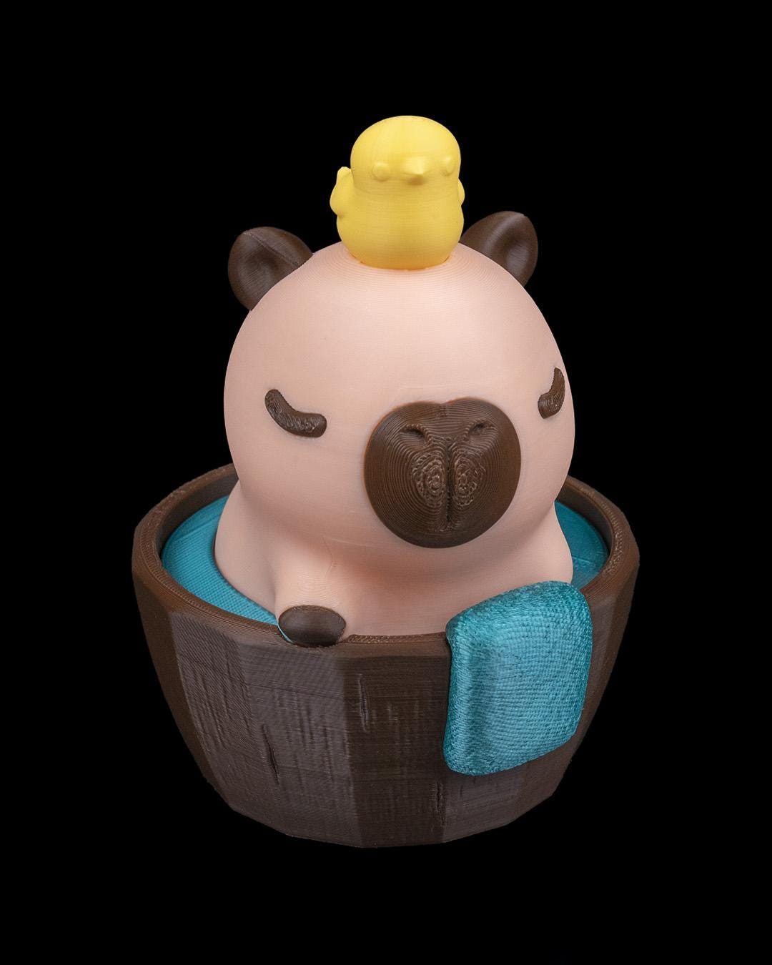 Capybara Bathing - Etsy