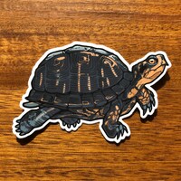 Box Turtle - Etsy
