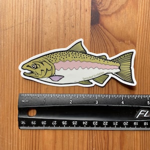 Fish Sticker - 4.5” Salmon Illustrated Vinyl Decal Tackle Box Sticker ...