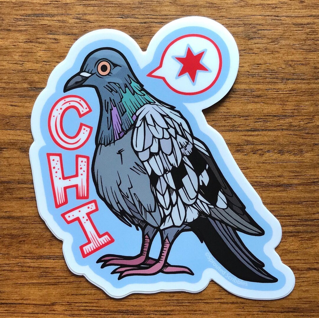 Chicago Pigeon Sticker - 3.2" or 4" Illustrated City Bird Vinyl Decal ...