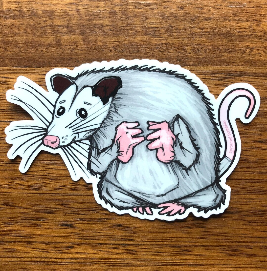 Opossum Sticker | Waterproof Vinyl Decal - Etsy