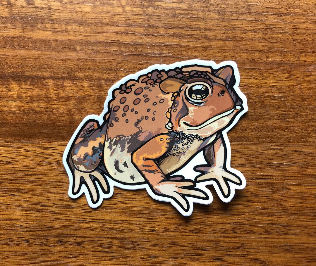 Toad Sticker 4 Waterproof Vinyl Decal Eastern American Toad ...