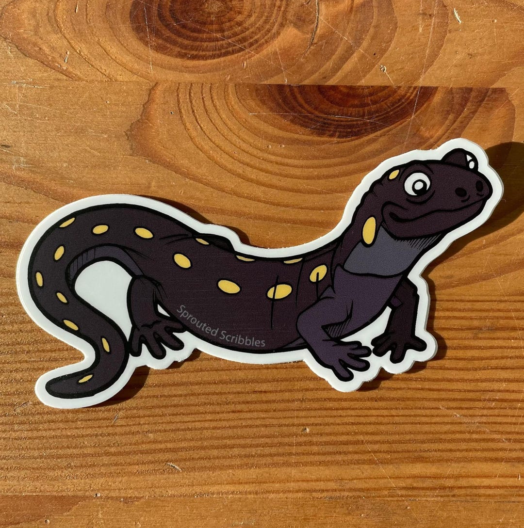 Spotted Salamander VEHICLE SIZED Sticker - Etsy